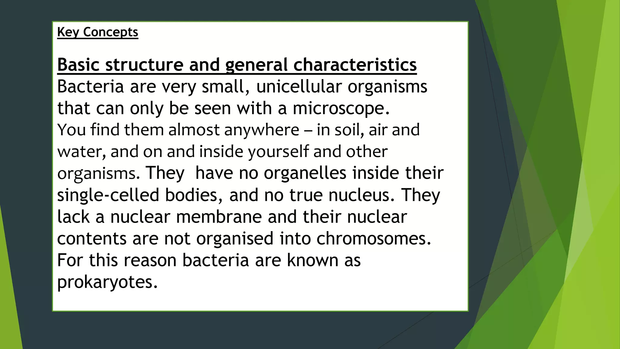 Bacteria | PPT