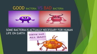 Bacteria | PPTX