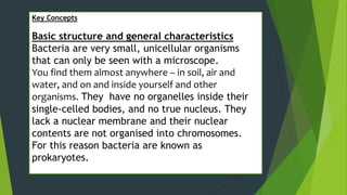 Bacteria | PPT