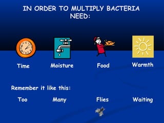 Bacteria | PPT