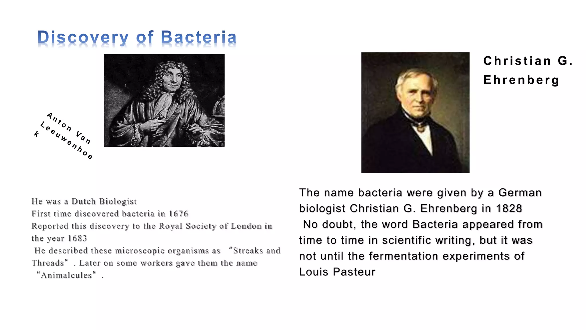 Bacteria | PPTX