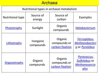 bacteria-200515105516.pdf