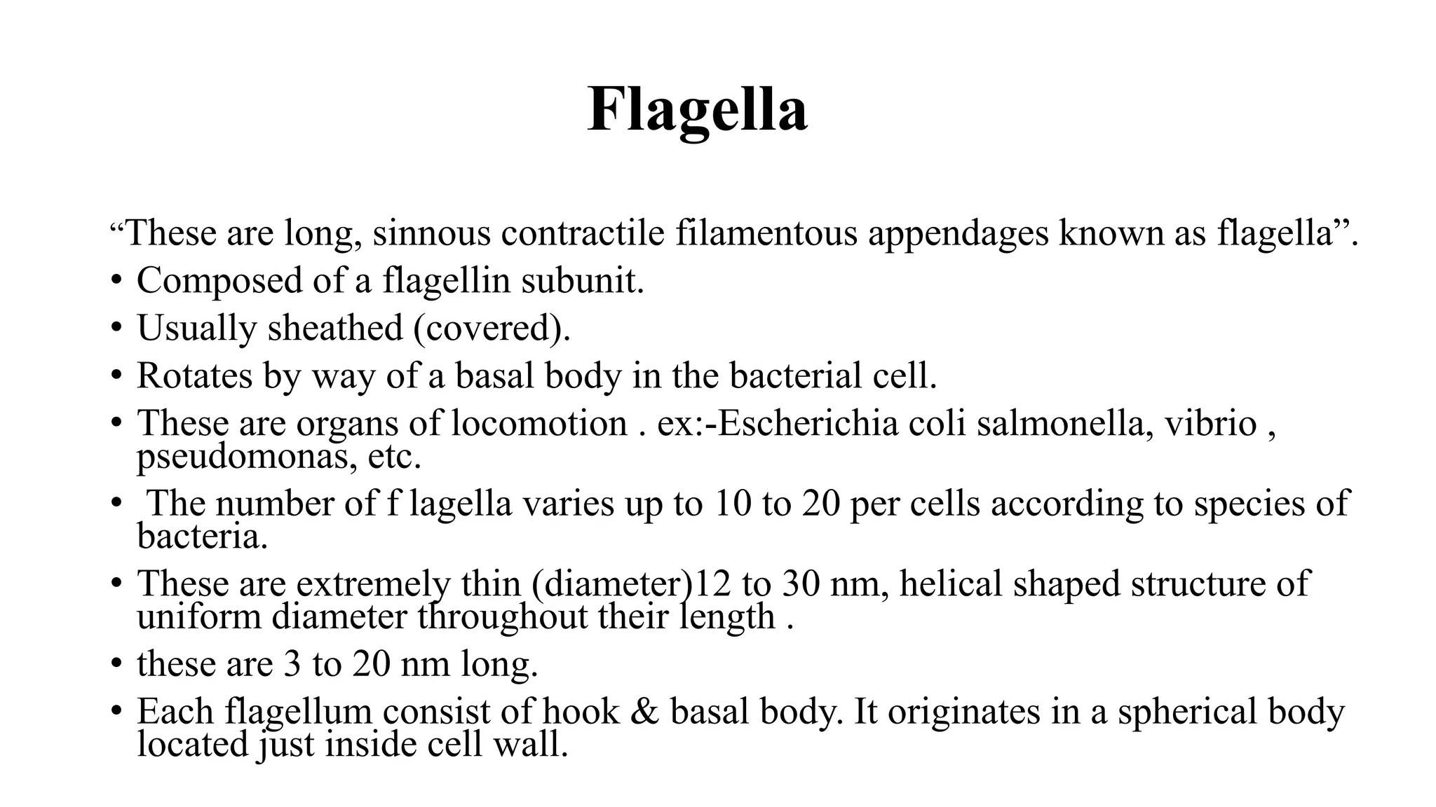 What is bacteria?(Structures Present in Bacteria And their Functions ...