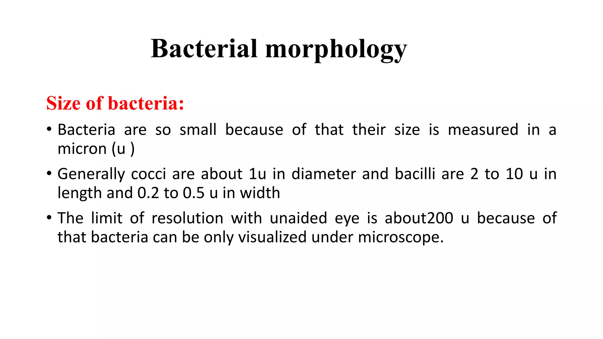 What is bacteria?(Structures Present in Bacteria And their Functions ...