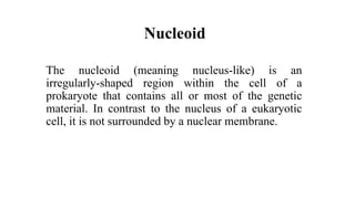 What is bacteria?(Structures Present in Bacteria And their Functions ...