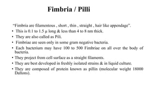 What is bacteria?(Structures Present in Bacteria And their Functions ...