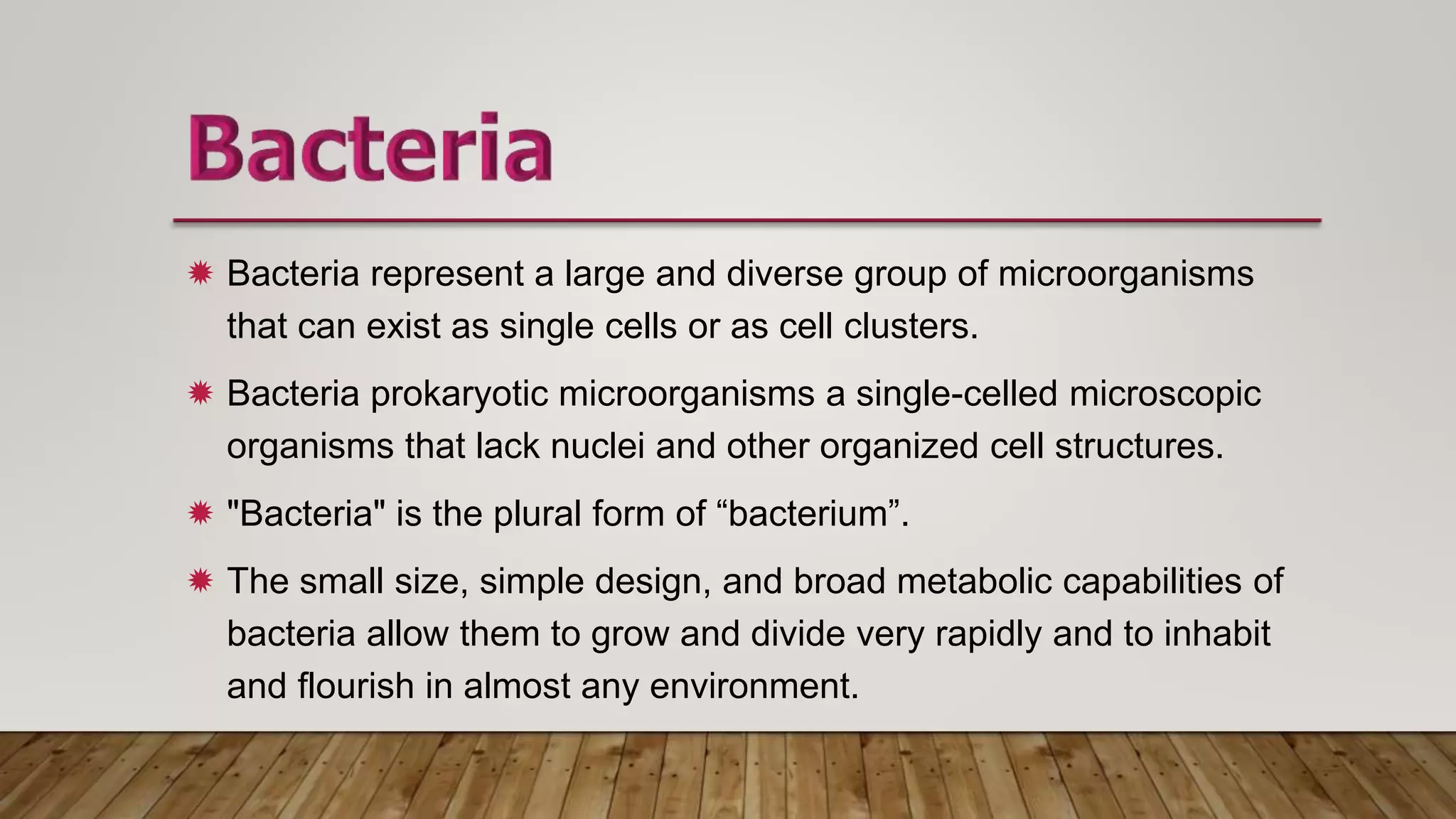 Bacteria | PPT