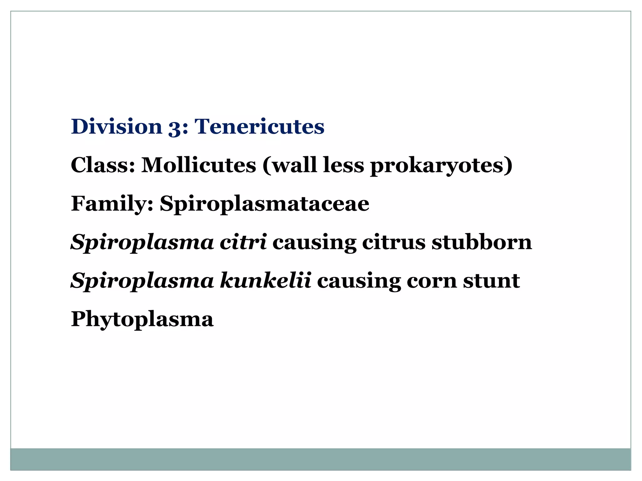 Plant pathogenic Bacteria | PPTX