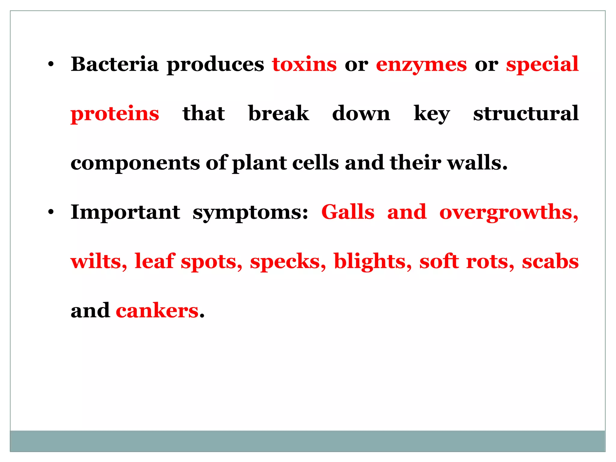 Plant pathogenic Bacteria | PPTX