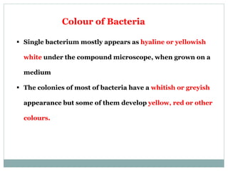 Plant pathogenic Bacteria | PPTX