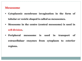 Plant pathogenic Bacteria | PPTX
