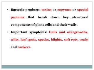 Plant pathogenic Bacteria | PPTX