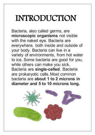 Bacteria | DOCX | Infectious Diseases | Diseases and Conditions