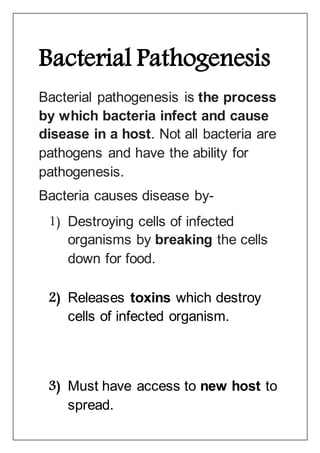 Bacteria | DOCX | Infectious Diseases | Diseases and Conditions
