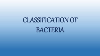 Bacteria | PPT