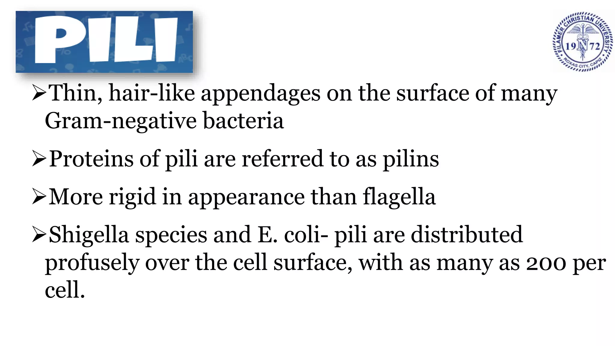 BACTERIA.pdf