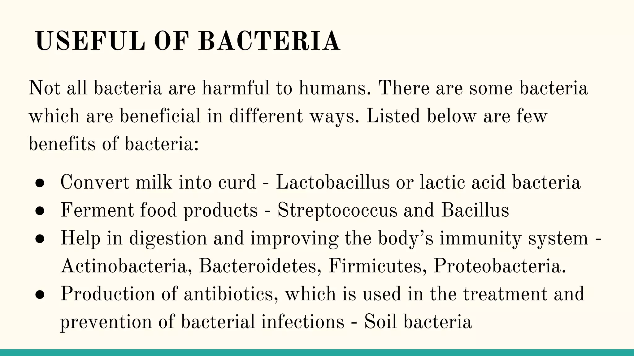 BACTERIA.pptx
