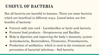BACTERIA.pptx | Biological Sciences | Science