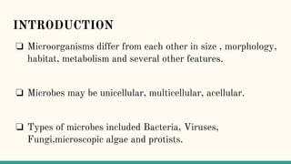 BACTERIA.pptx | Biological Sciences | Science