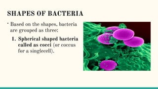 BACTERIA.pptx | Biological Sciences | Science