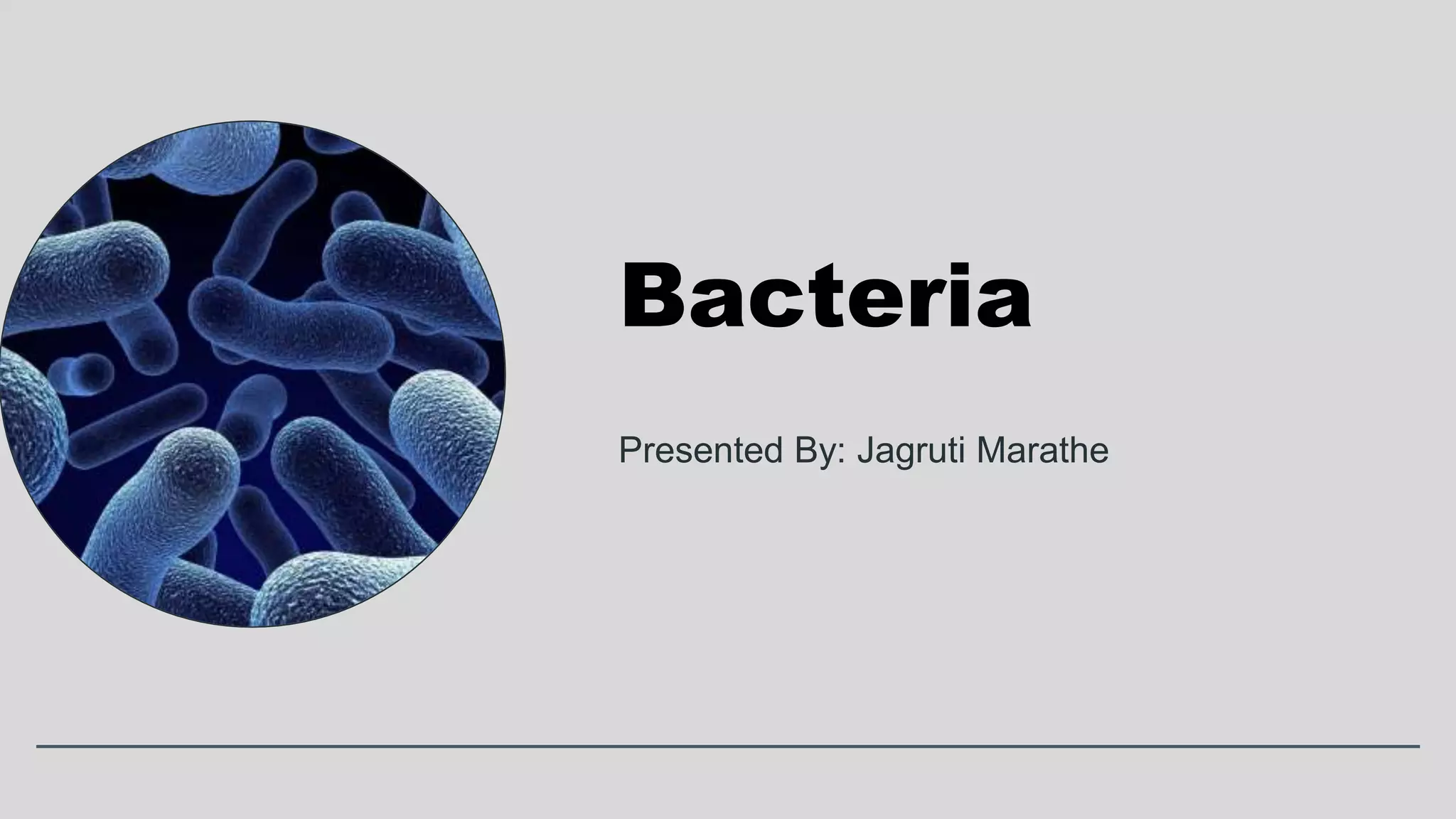 Bacteria.pptx