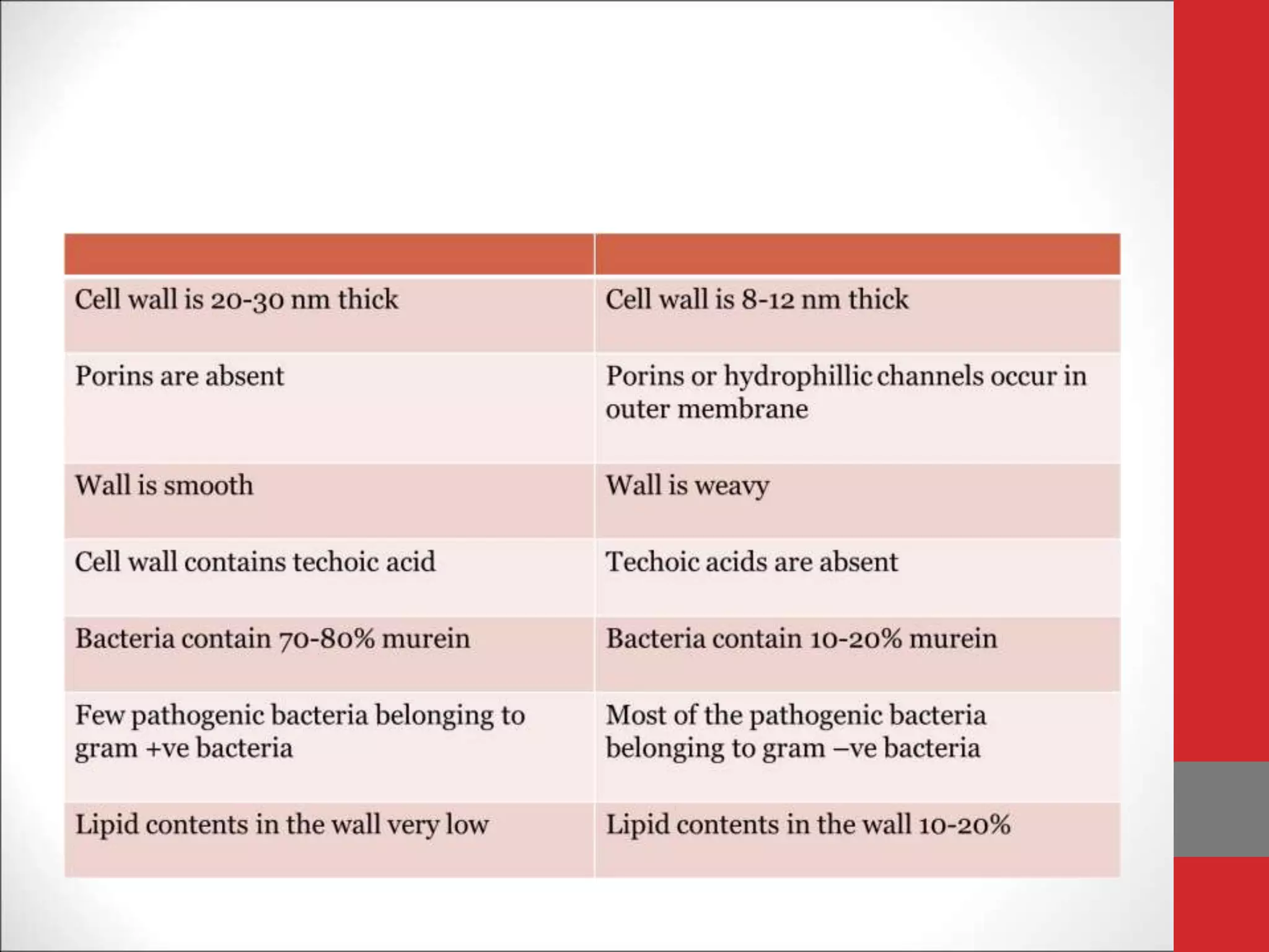 Bacteria. by idrees ahmad.4.pptx
