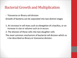 Bacteria. by idrees ahmad.4.pptx