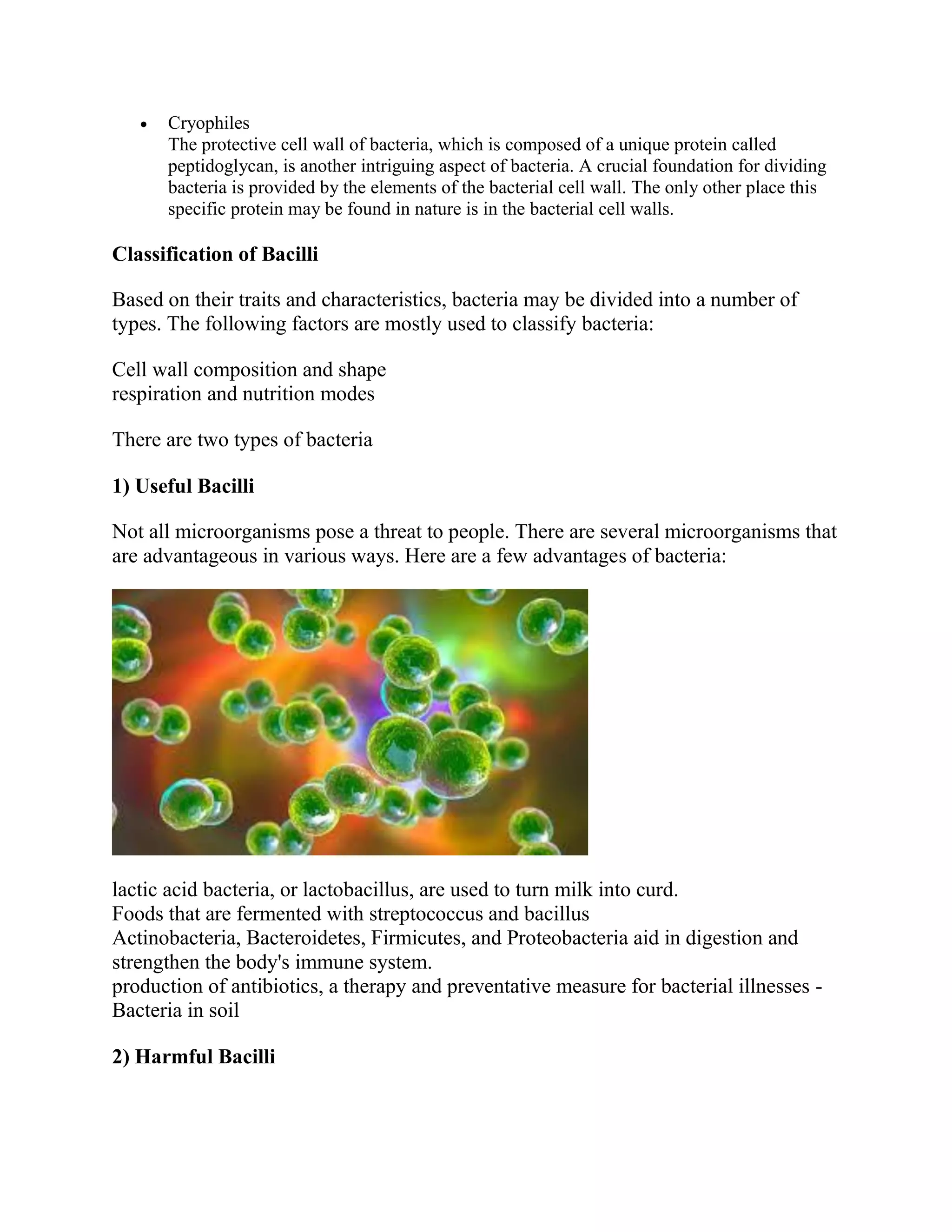 Bacteria Pdf