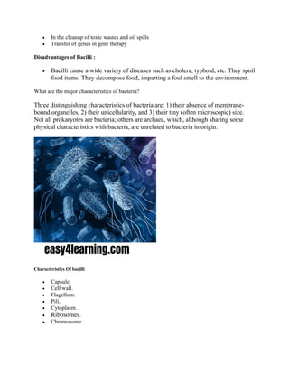 Bacteria.pdf