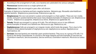 BACTERIA.pptx