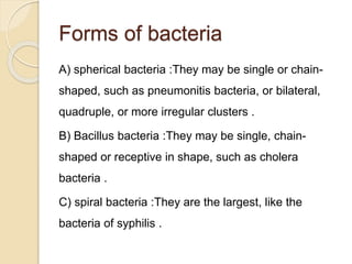Bacteria.pptxmmmmmmmmmmmmmmmmmmmmmmmmmmm | PPT
