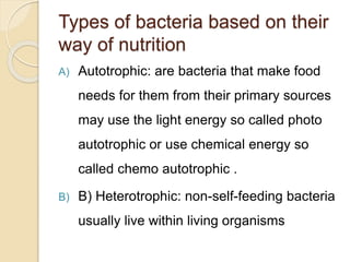 Bacteria.pptxmmmmmmmmmmmmmmmmmmmmmmmmmmm | PPTX