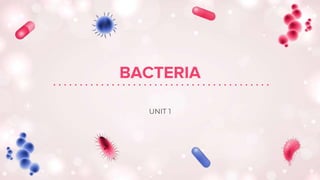Bacteria-Morphological Classification.pptx
