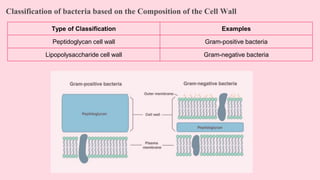 Bacteria-Morphological Classification.pptx