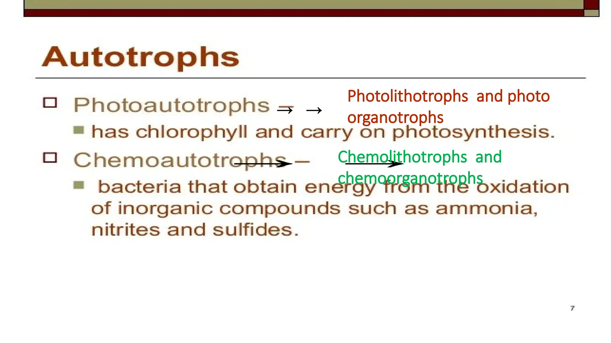 STRUCTURE OF BACTERIA AND ITS METABOLISM | PPT