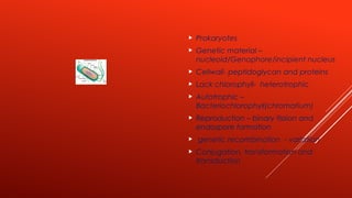 STRUCTURE OF BACTERIA AND ITS METABOLISM | PPTX