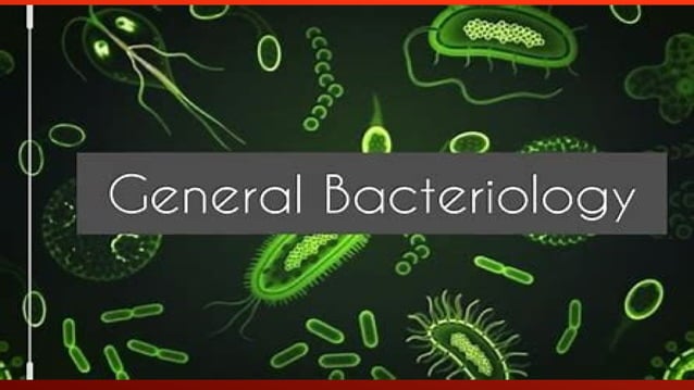 STRUCTURE OF BACTERIA AND ITS METABOLISM | PPT
