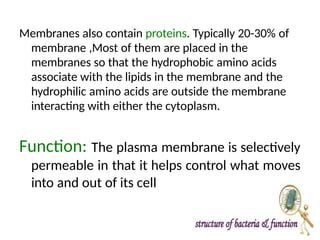 Bacteria, its structure in details with types of bacteria. | PPTX