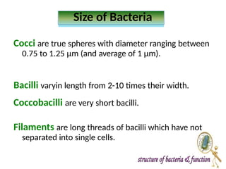 Bacteria, its structure in details with types of bacteria. | PPTX
