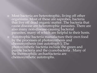 Bacteria ced | PPT