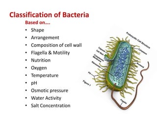 Pharmaceutical Microbiology - Bacteria - Classification & Nutrition | PDF