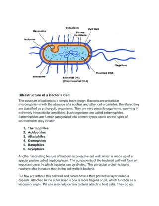 BACTERIA - DEFINITION, DIAGRAM, AND CLASSIFICATION.pdf