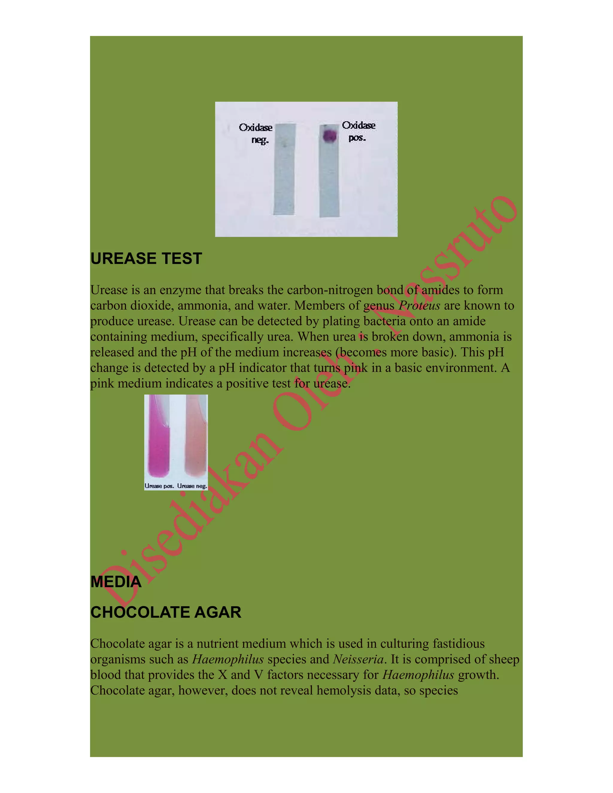 Bacteria - FULL INFO- | DOC