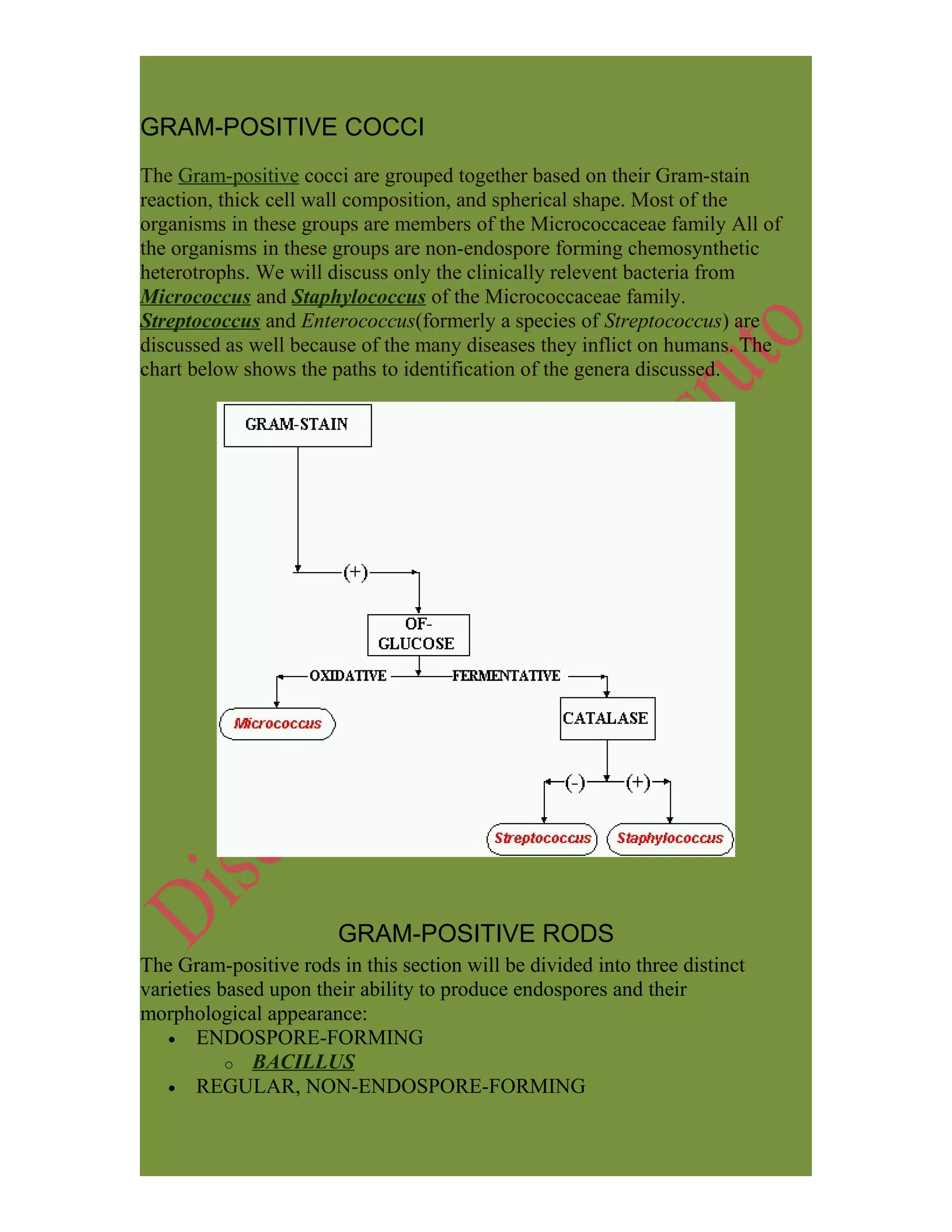 Bacteria - FULL INFO- | DOC