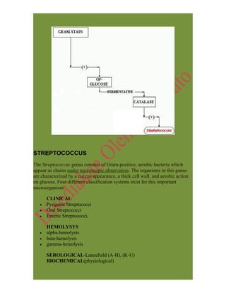 Bacteria - FULL INFO- | DOC | Chemistry | Science
