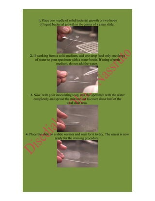 Bacteria - FULL INFO- | DOC | Chemistry | Science