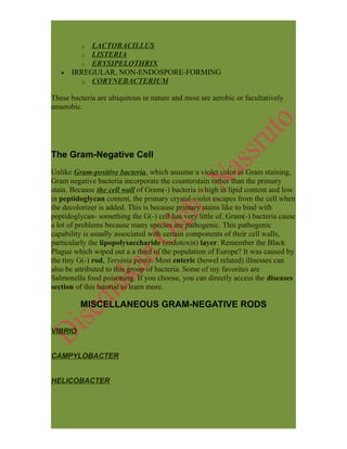 Bacteria - FULL INFO- | DOC | Chemistry | Science