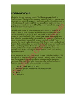 Bacteria - FULL INFO- | DOC | Chemistry | Science