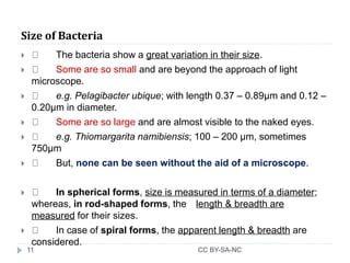 Bacteria - General Characters & a Closure Look | PPT
