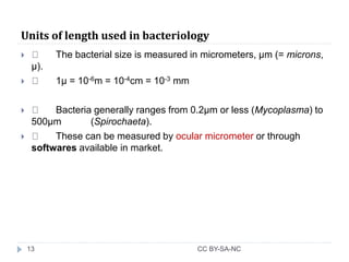 Bacteria - General Characters & a Closure Look | PPTX